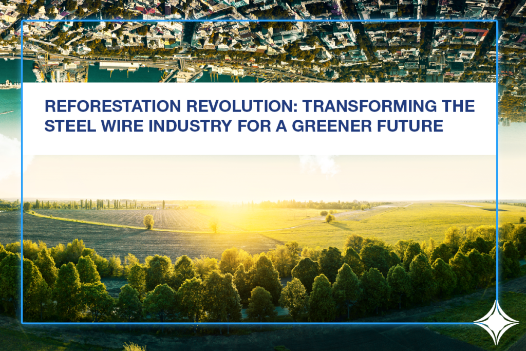 Reforestation revolution: transforming the steel wire industry for a ...