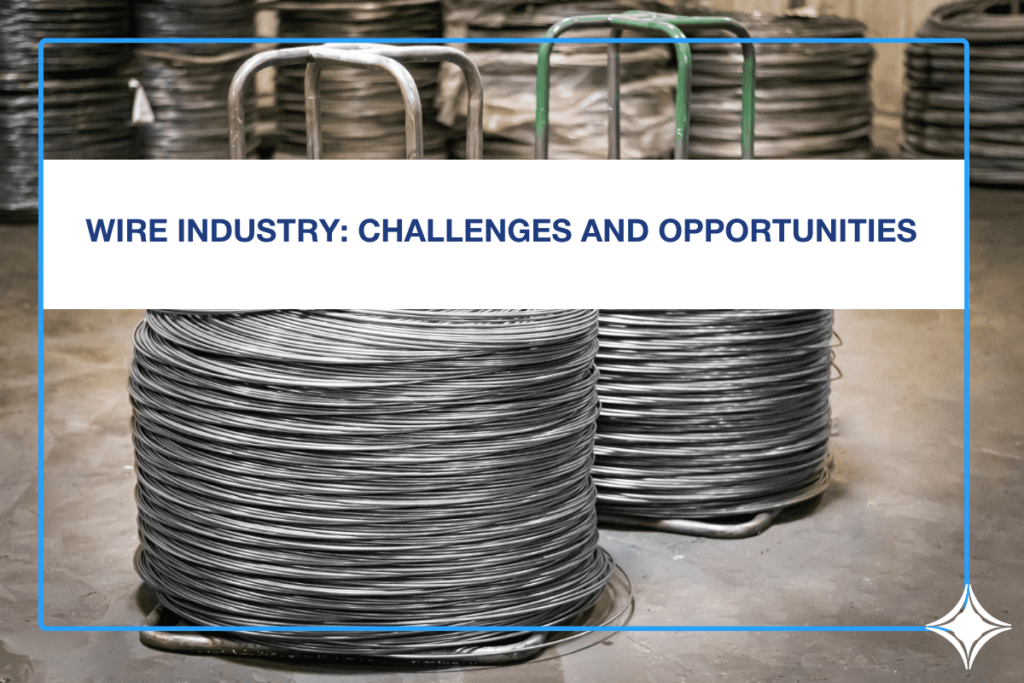 Wire industry: challenges and opportunities - Blog WMC